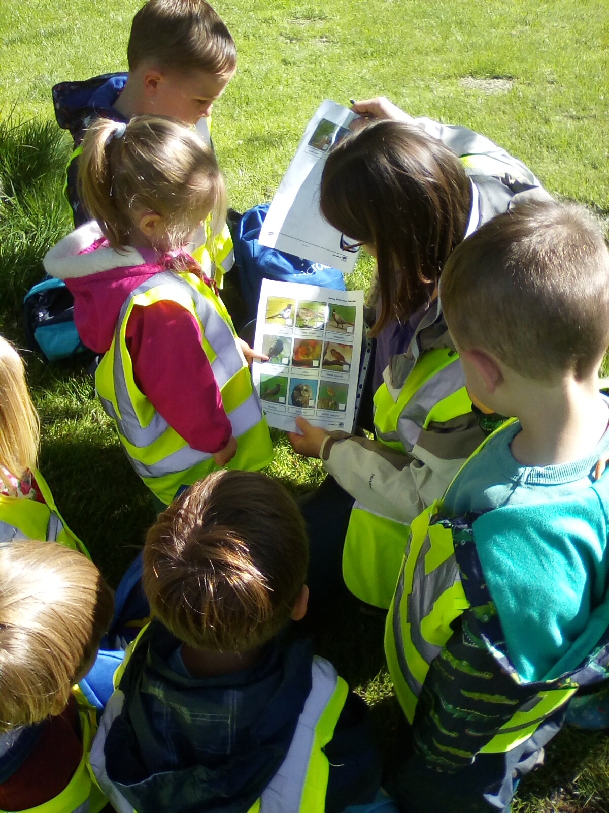 Nature bugs – Bugbrooke Pre-School