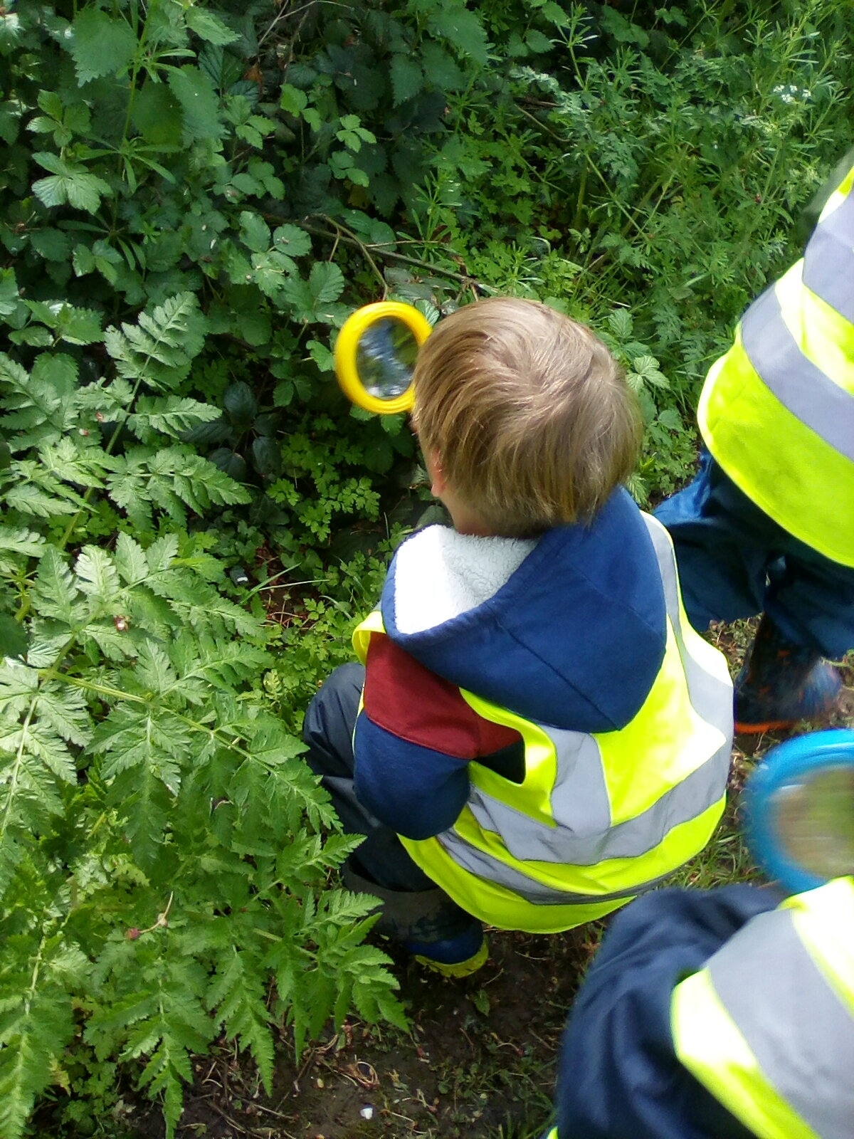 Nature bugs – Bugbrooke Pre-School