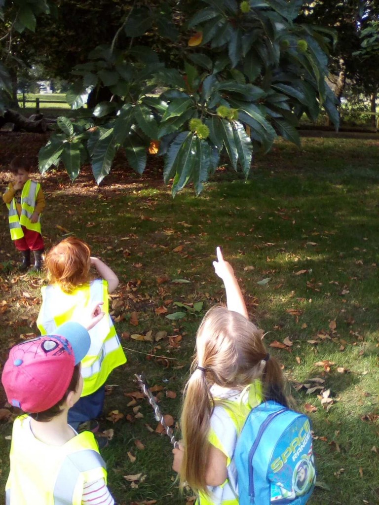 Nature bugs – Bugbrooke Pre-School