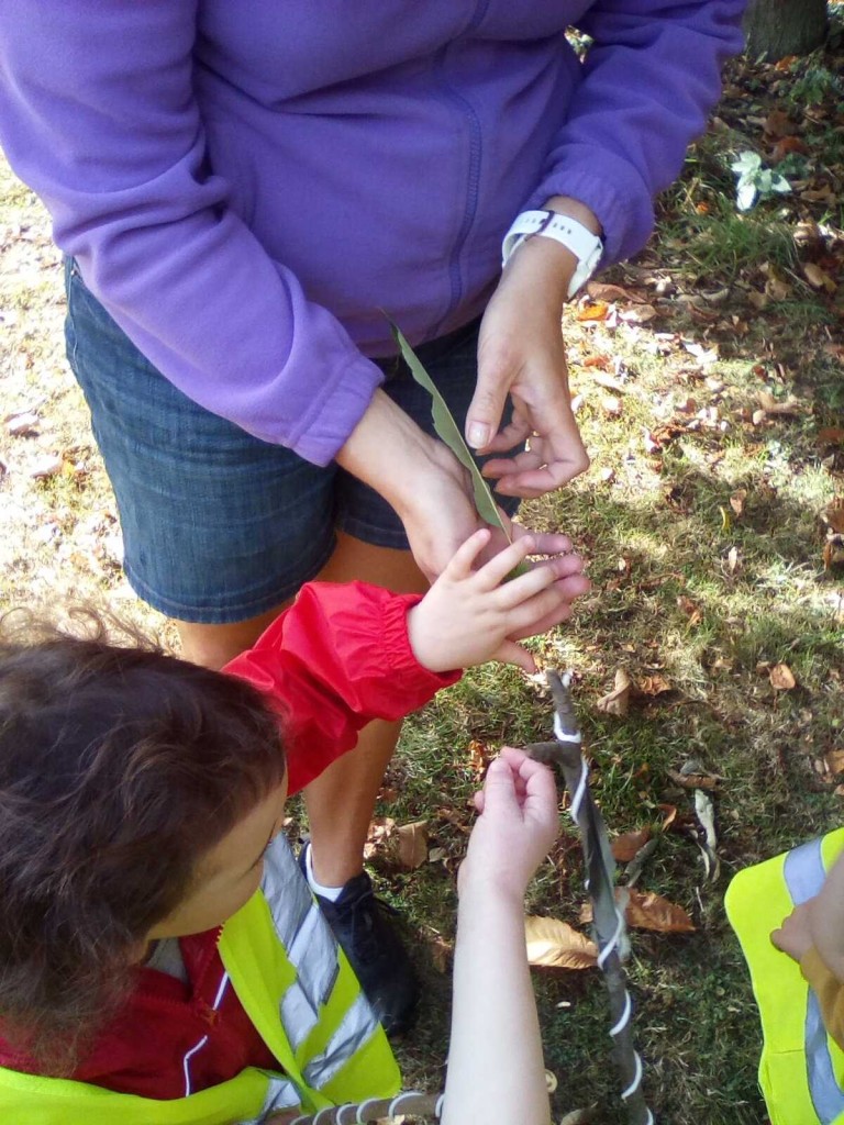 Nature bugs – Bugbrooke Pre-School
